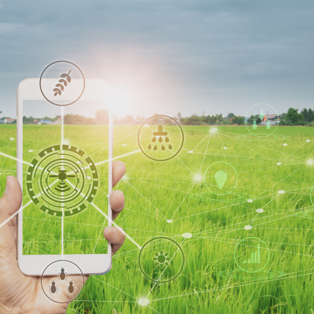 Boost Supply Chain Traceability Amplify Tracing And Visibility Tecvia