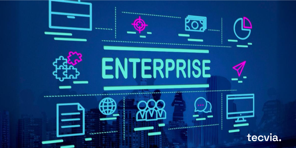 Choosing the Right ERP System: A Step-by-Step Guide for Beginners - Tecvia